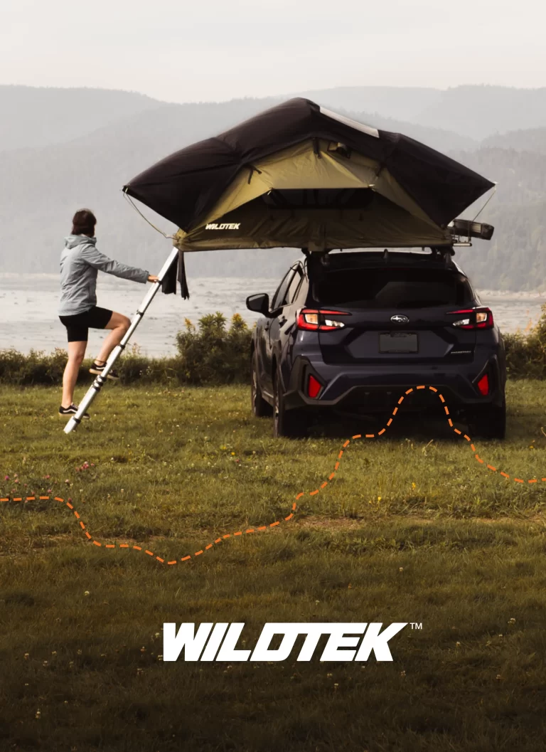 Wildtek | Standish